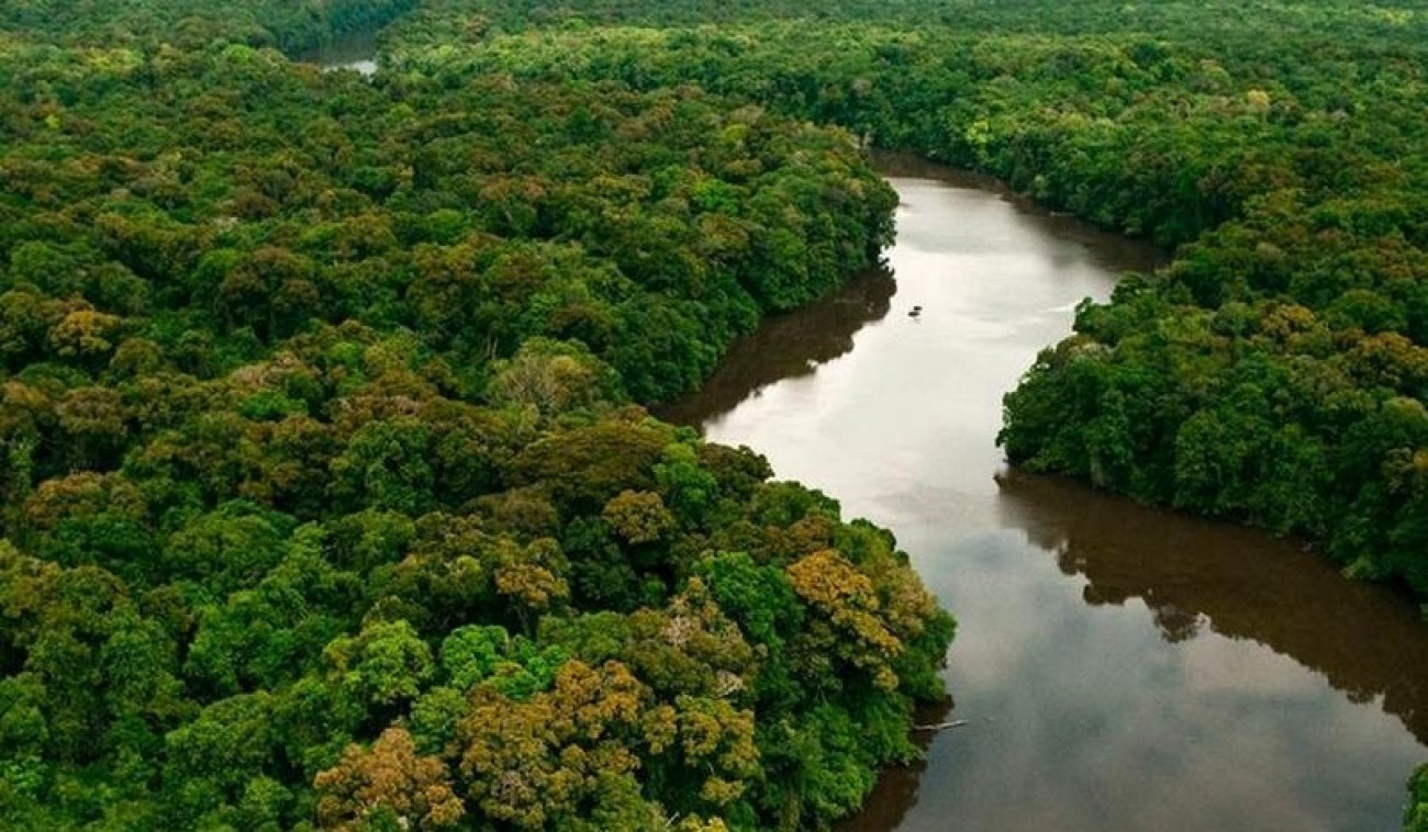 Brasil: 84% da Amazônia preservada e investimento em energia limpa