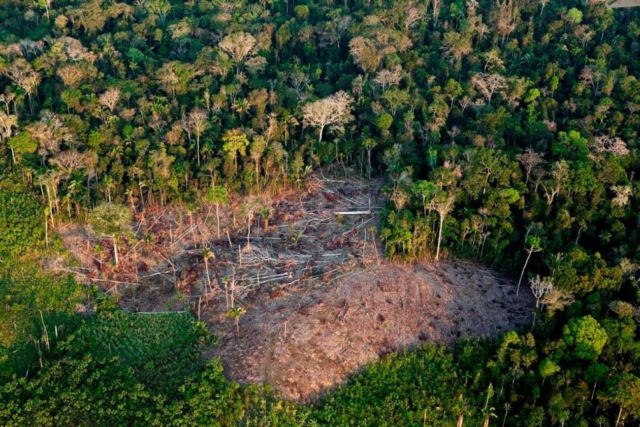 Amazônia - uma folha no microscópio: A velha retórica de que o “Brasil ...